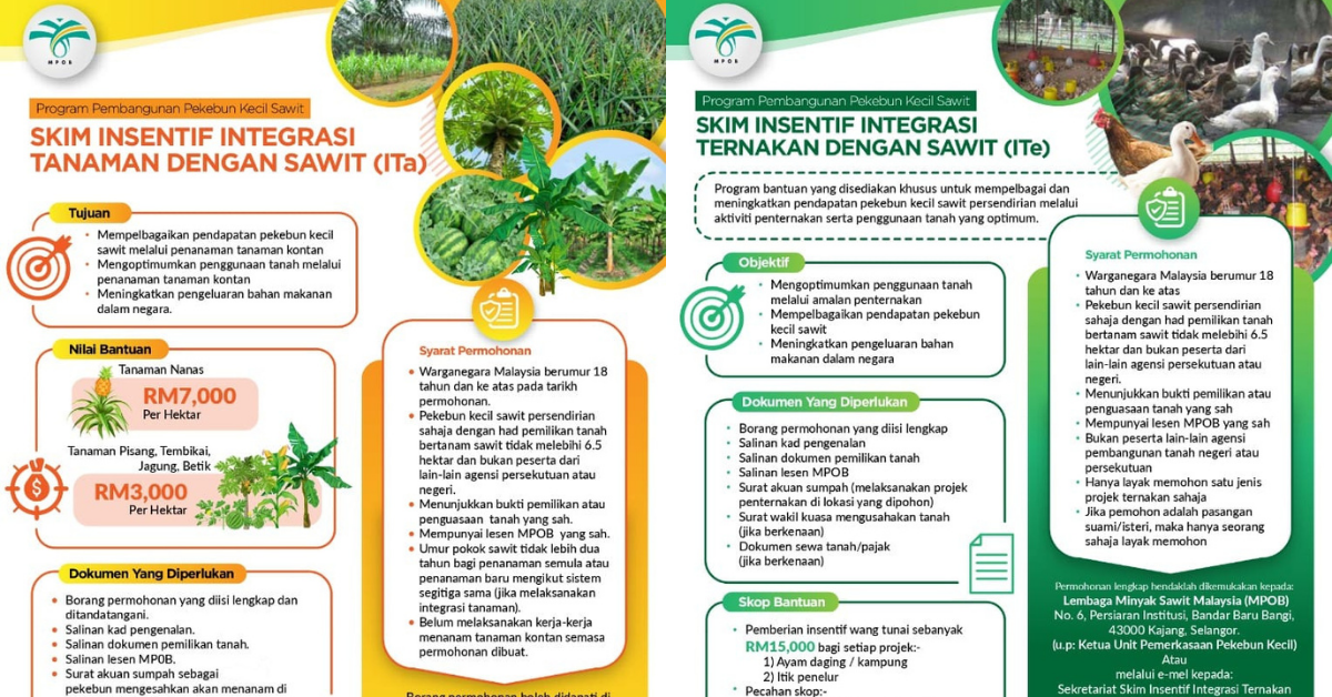 ITa & ITe: Skim Insentif Integrasi Tanaman & Ternakan Dengan Sawit