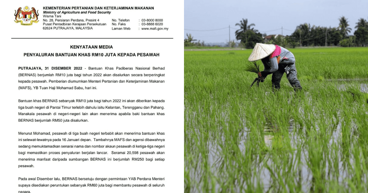 Bantuan Khas BERNAS 2023: RM250 Setiap Pesawah